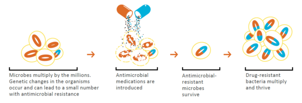 Antibiotics, superbugs, and everything you need to know – New African ...